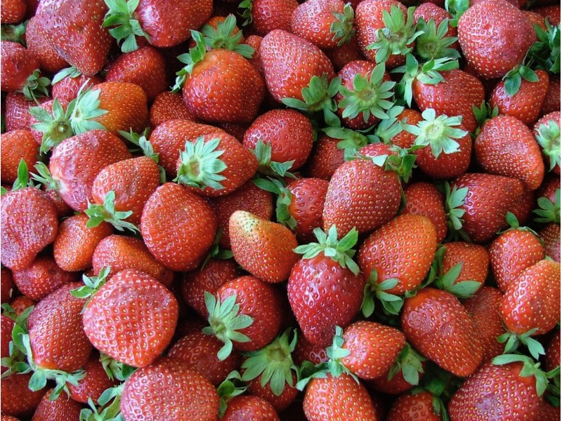 Fraises BIO - Collines en limousin - Coulis, confitures et chutneys ...